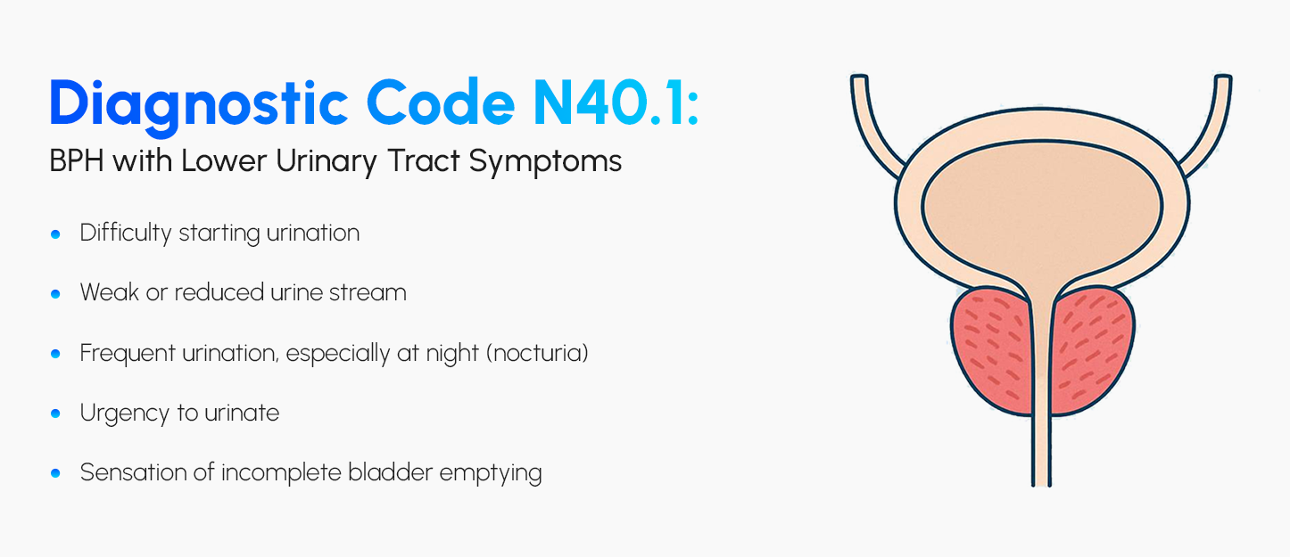 ICD-10 Code N40.1: BPH With Lower Urinary Tract Symptoms